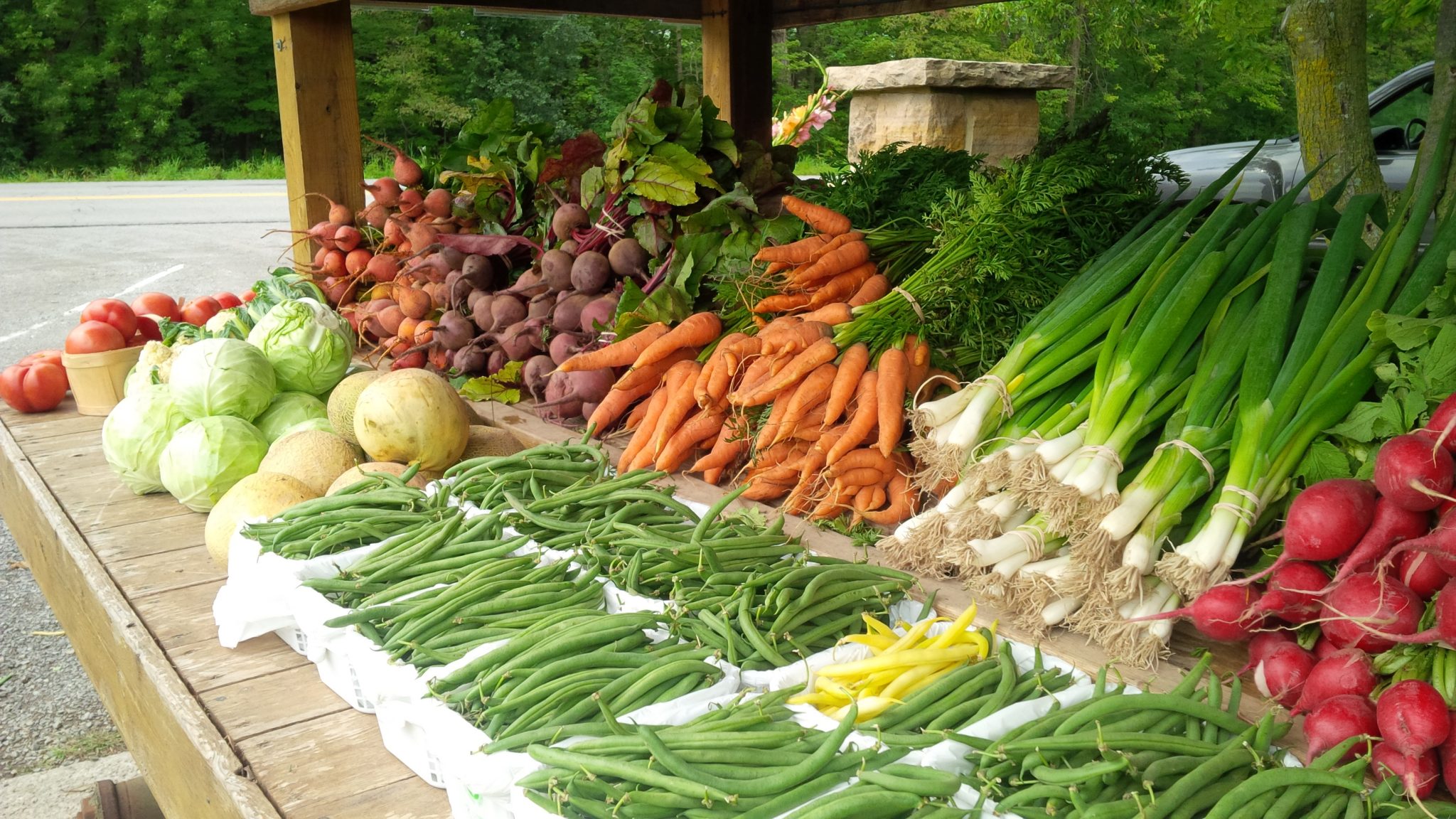 Miller's Bay Farm | Where the Story of your Dinner Begins | Family Farm ...