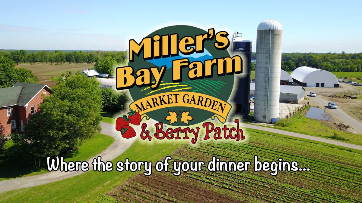 Miller's Bay Farm | Mission and Values | Discover our Family Farm near ...